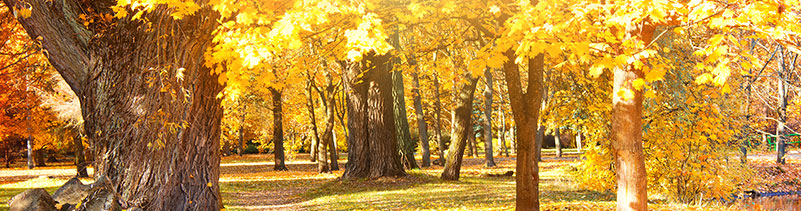 Adults | Calvary Road Baptist Church